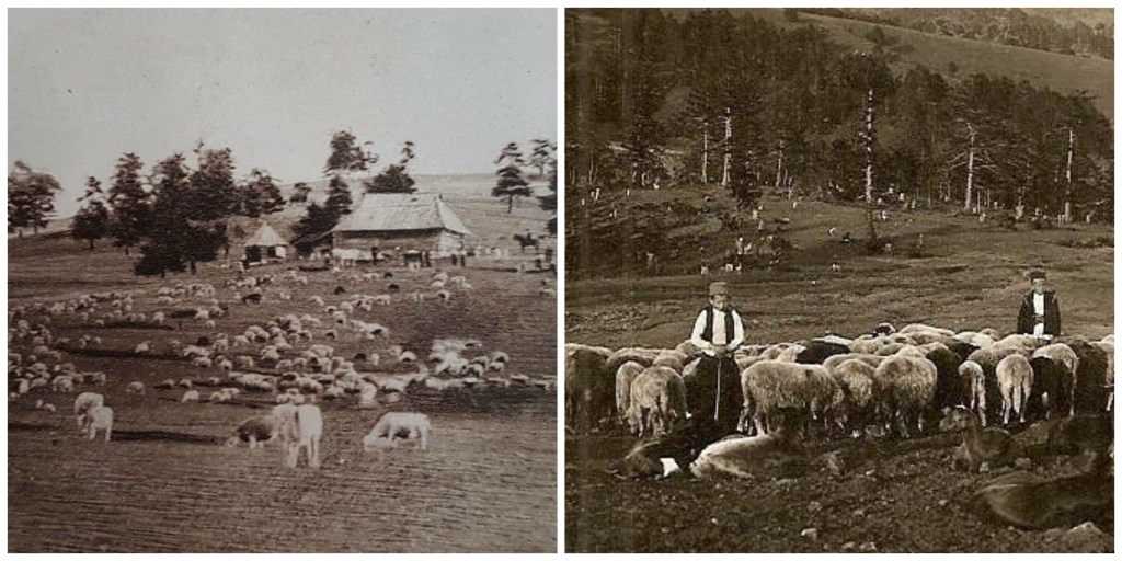 Чобански Живот – The Shepherds’ Life – Свилен конац Silken Thread